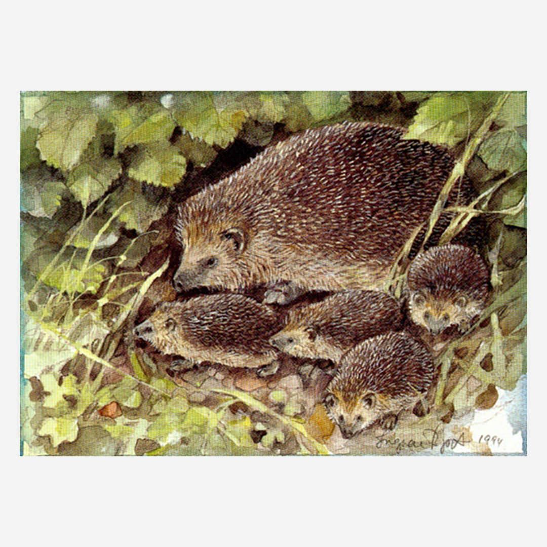 Artikel Von Igel